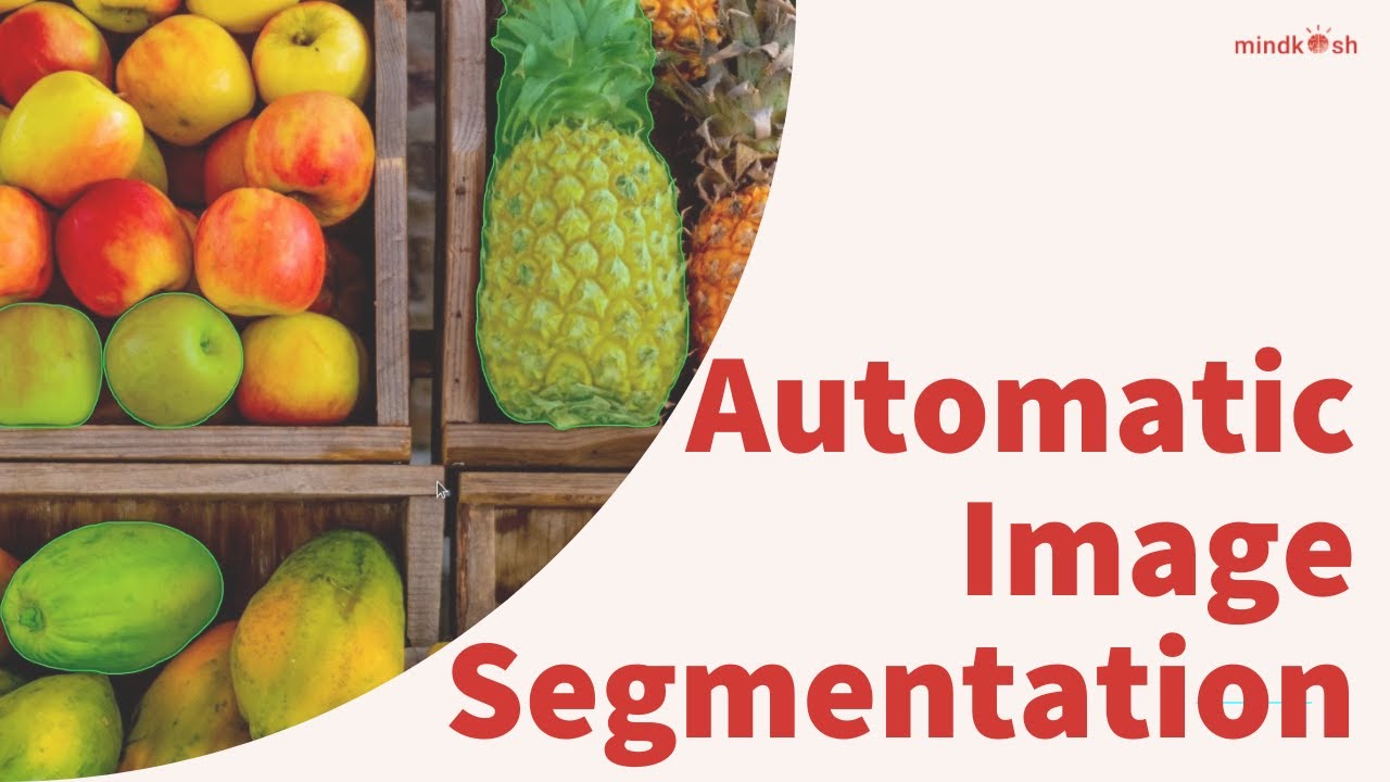 AI-assisted Semantic segmentation tool | Mindkosh AI