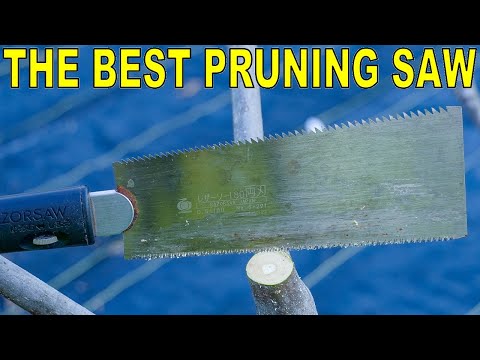 I Found the PERFECT PRUNING SAW For Pruning Fruit Trees!