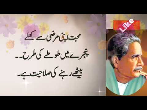 Best Quote in Urdu | Pyari batain 319 Aqwal e zareen | Amazing Urdu Quote