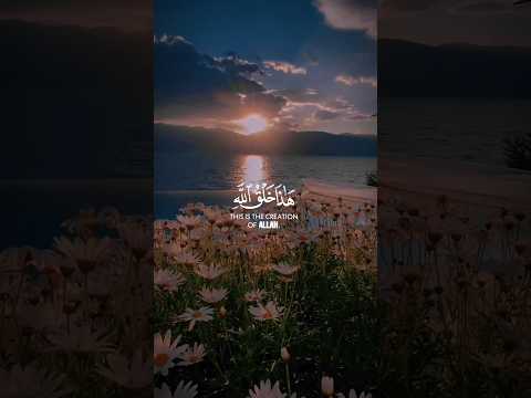The Marvel of Allah's Creation | Islam In All Respects.#shorts #trending #shortsviral #youtubeshorts