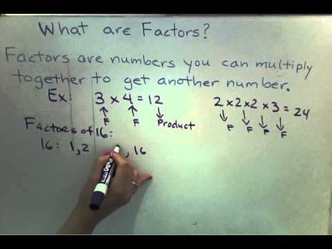 What are FACTORS and how do you find them? (1 of 7)