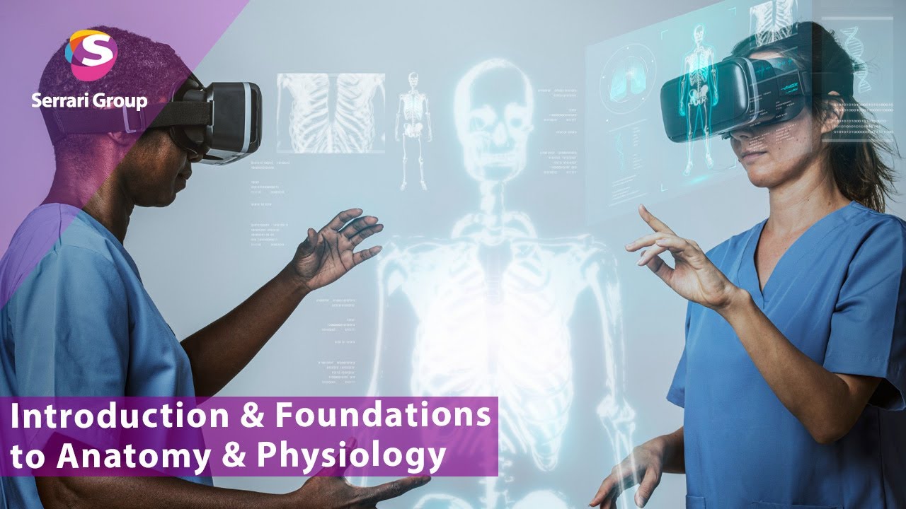 HESI A2 - Anatomy & Physiology Basics | Foundations Every Student Should Know