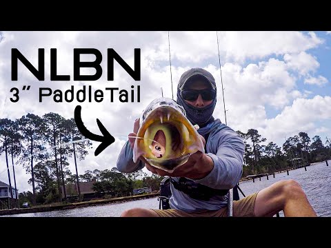 NLBN 3 inch Paddle Tail CRUSHED the Fish!!!