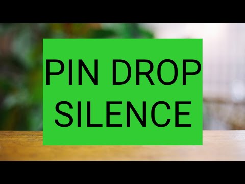 Meaning of 'PIN DROP SILENCE๐๐๐ถ