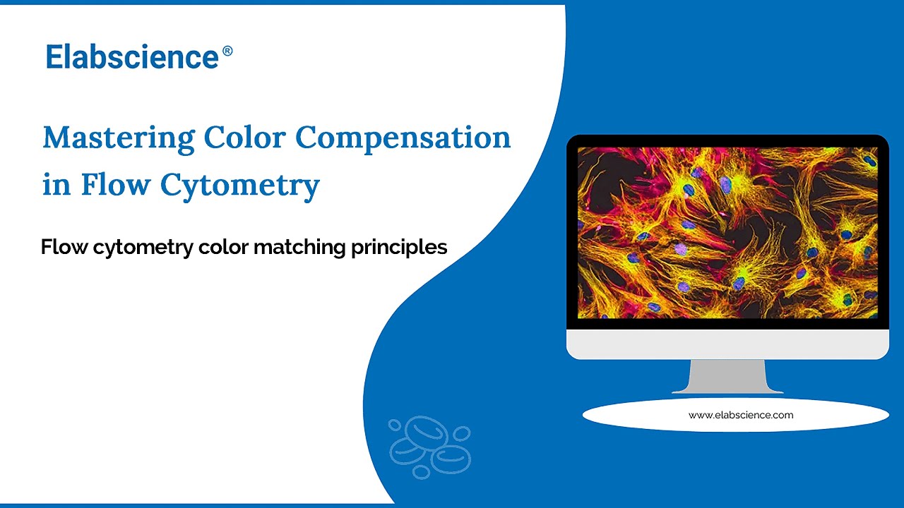 Mastering Multi-Color Panel Design in Flow Cytometry