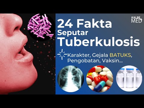 24 Fakta Seputar Tuberkulosis - Bisa Sembuh? Bagaimana Pencegahan dan Pengobatannya?