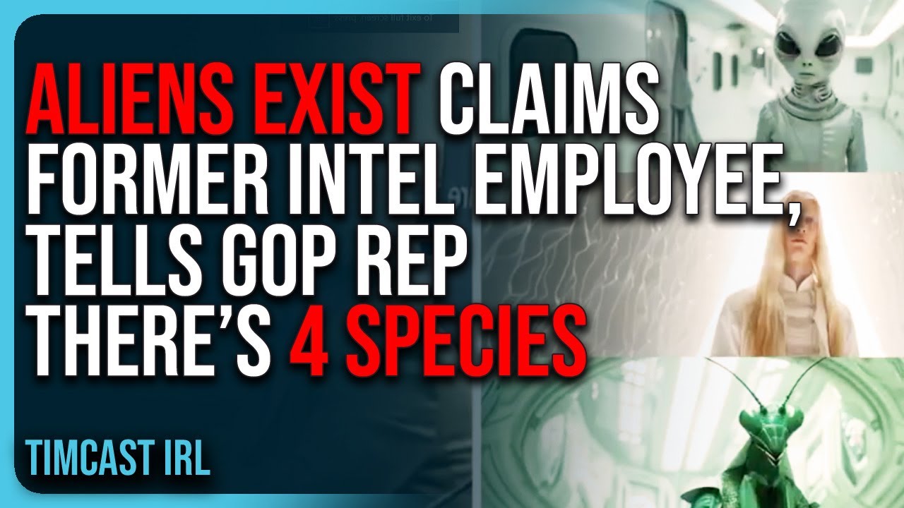 Former Intel Employee Claims Existence of Four Alien Species | Galaxy.ai