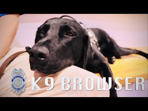 Chief Davis Pleased to Introduce Latest Crime Fighting Resource: K9 ...