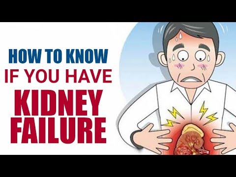 Chronic Kidney Disease- CKD Treatment, Causes, Sign and Symptoms in English
