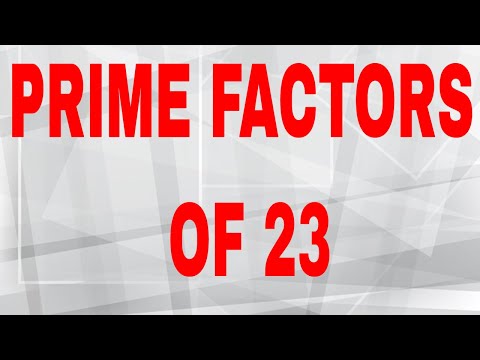 Prime factors of 23