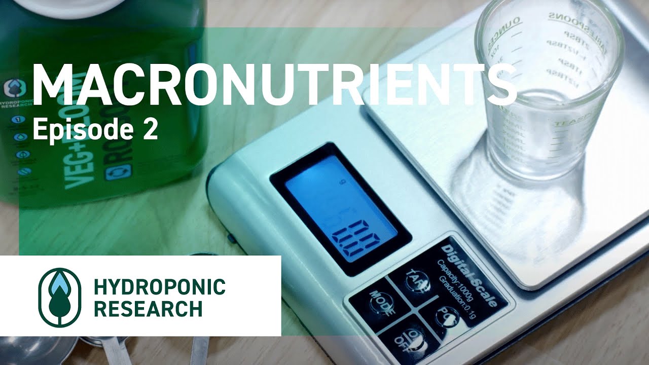 Hydroponic Research Presents Grower's Notebook: Macronutrients NPK