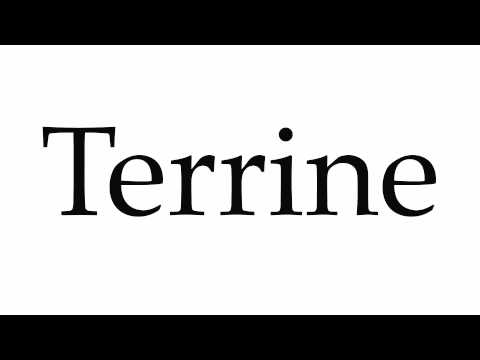 How to Pronounce Terrine