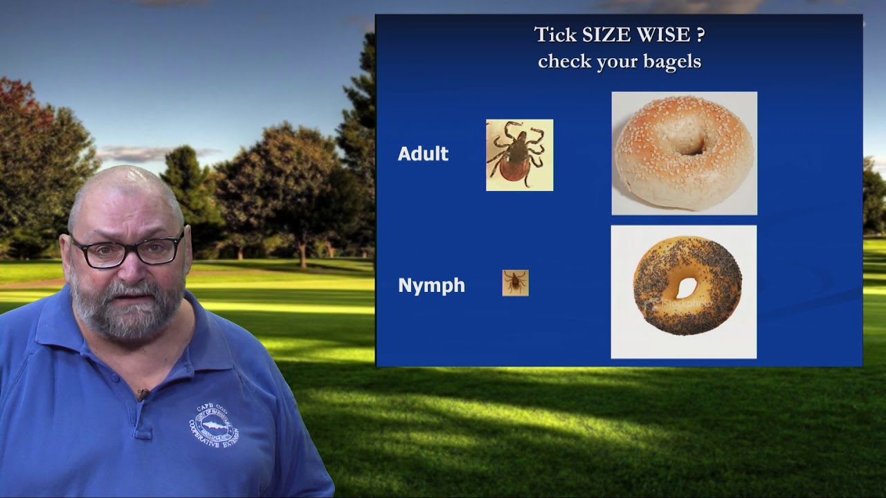 Tickology_Tick Biteology