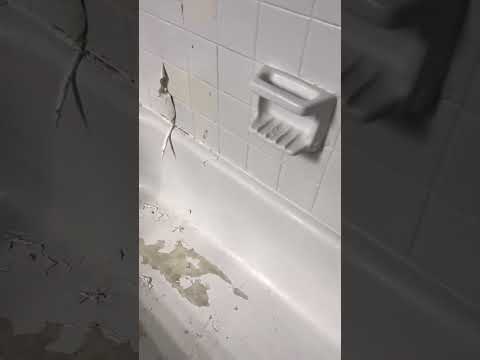 Repair & Refinish the Tiles Around Your Bathtub Or Shower