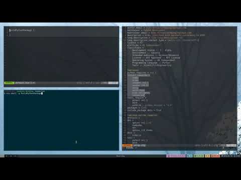 Nixpkgs - Python packaging, and development workflow.