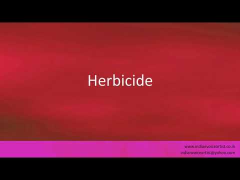 Pronunciation of the word(s) "Herbicide".