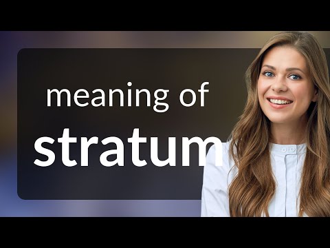 Stratum — STRATUM meaning