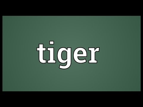 Tiger Meaning