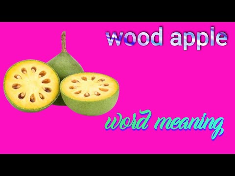 बेल को इंग्लिश में क्या कहते हैं | wood apple meaning in hindi | bel ko english mein kya kahate hain