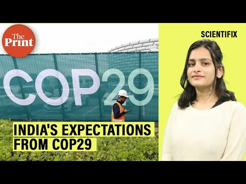 COP29 to begin on 11 November. What are India’s expectations