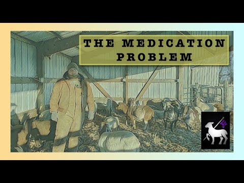 The Problem With Medicating Sheep and Goats