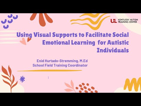 Using Visual Supports to Facilitate Social Emotional Learning