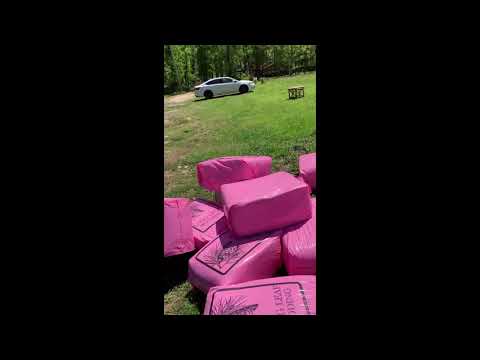 Get rid of weeds. How I use pine shaving as much instead of wood chips.