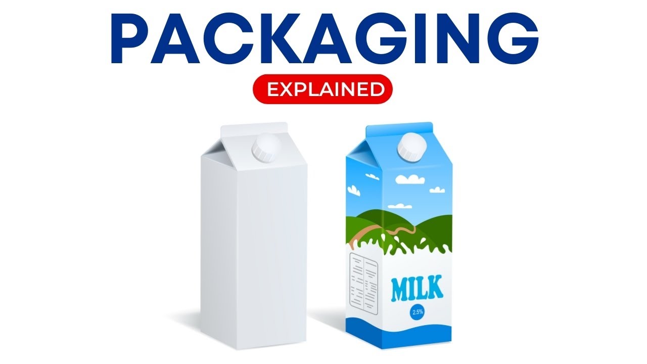 What is Packaging? | Components, Levels and Importance Explained