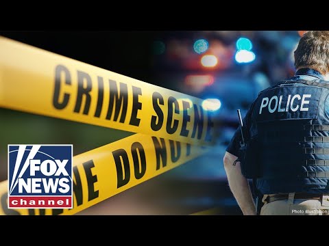 Raymond Arroyo: New Orleans is 'collapsing' in a crime wave