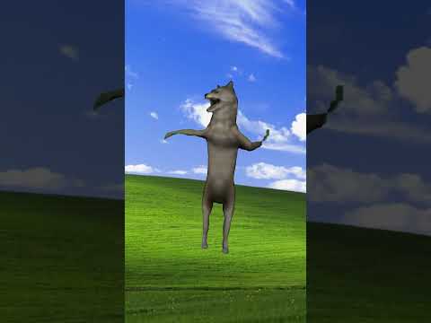 Wolf Dancing to Windows 95 On Acid