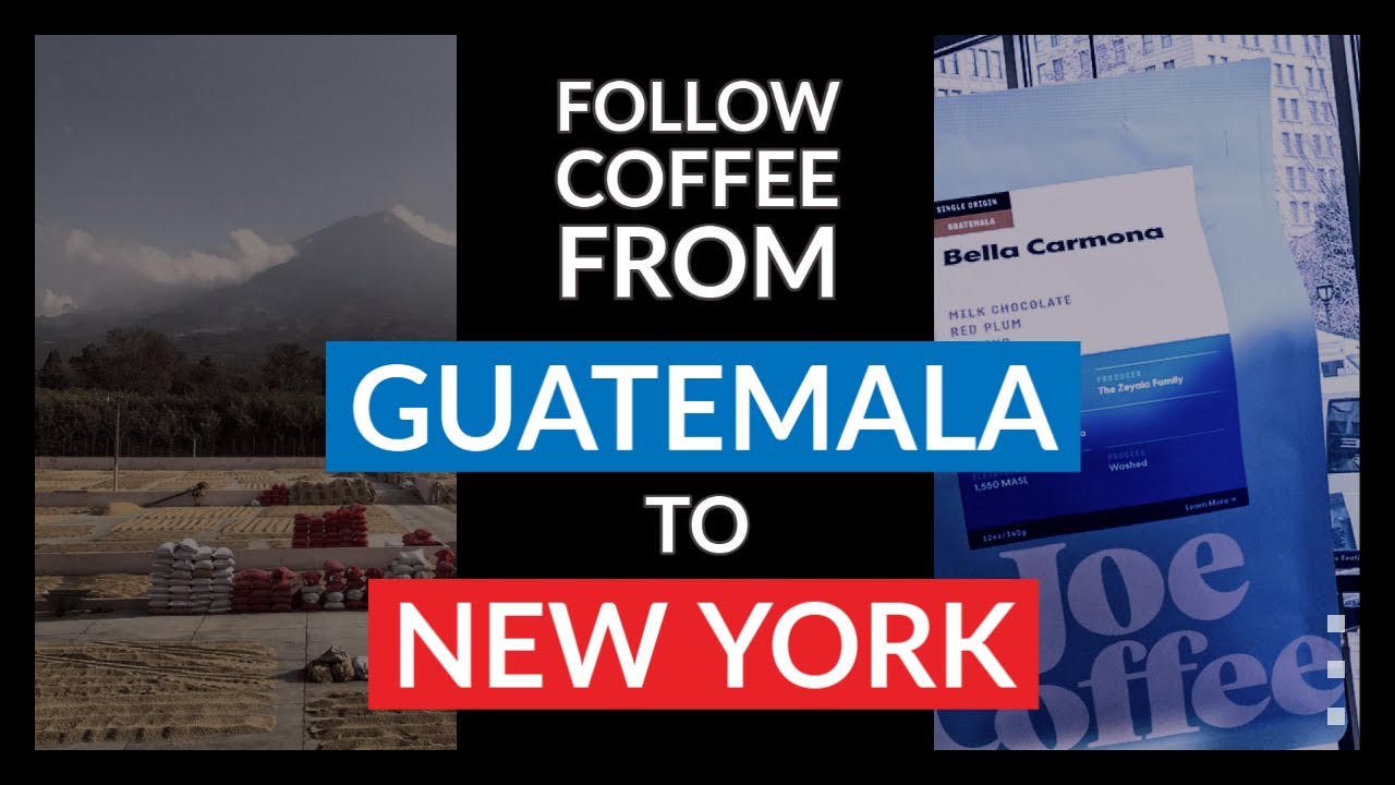 How Coffee's Imported: Behind the Grind