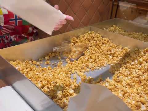 The BEST snack at Epcot!