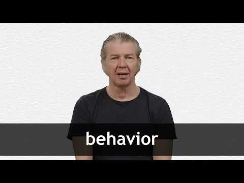 BEHAVIOR - Meaning & Translations | Collins English Dictionary