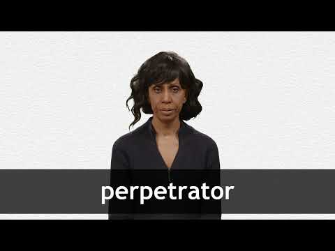 How to pronounce PERPETRATOR in American English