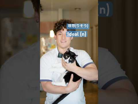 Learn ‘理想’ (Risou) – Japan’s Word for “Ideal” | Japanese Word of the Day #shorts #learnjapanese