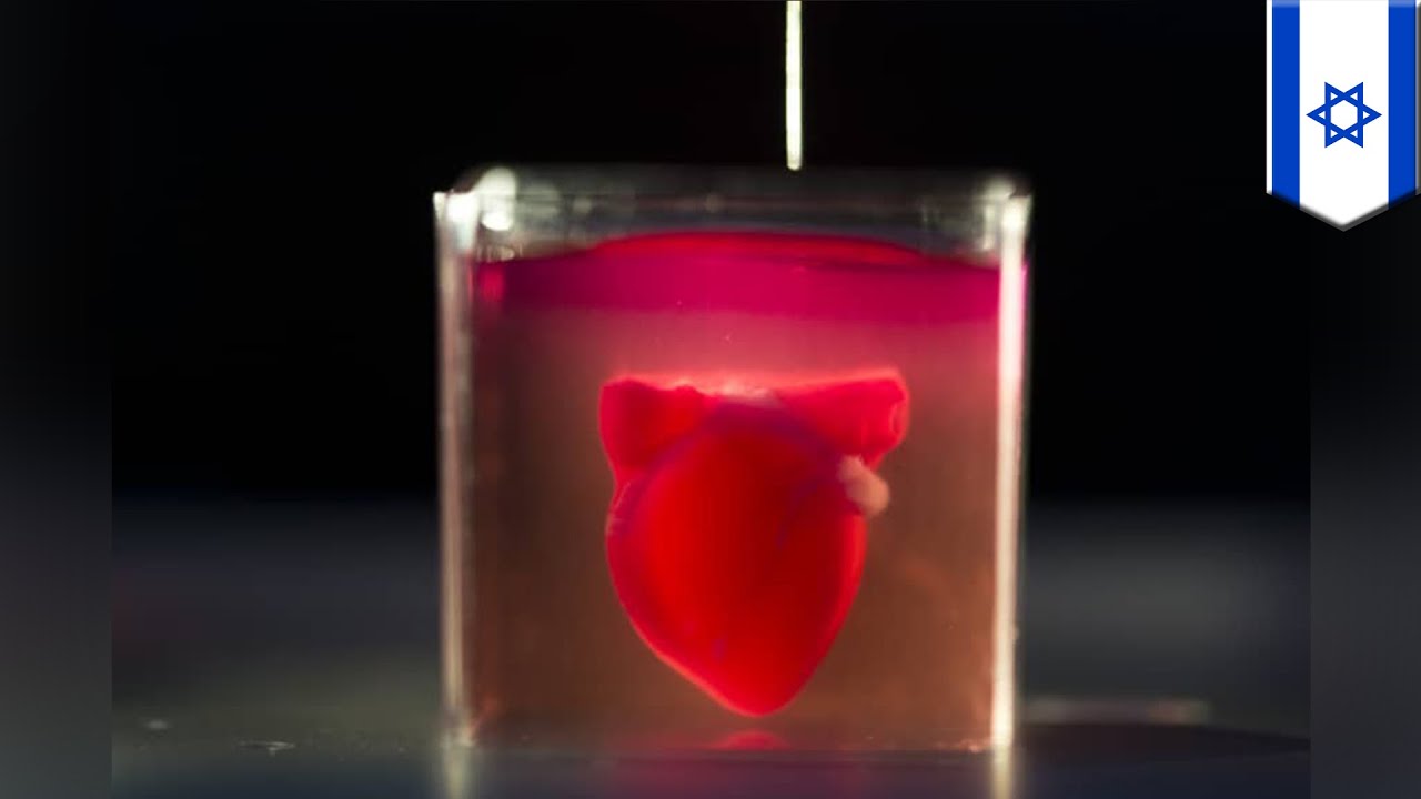Scientists create the world's first 3D-printed heart - TomoNews