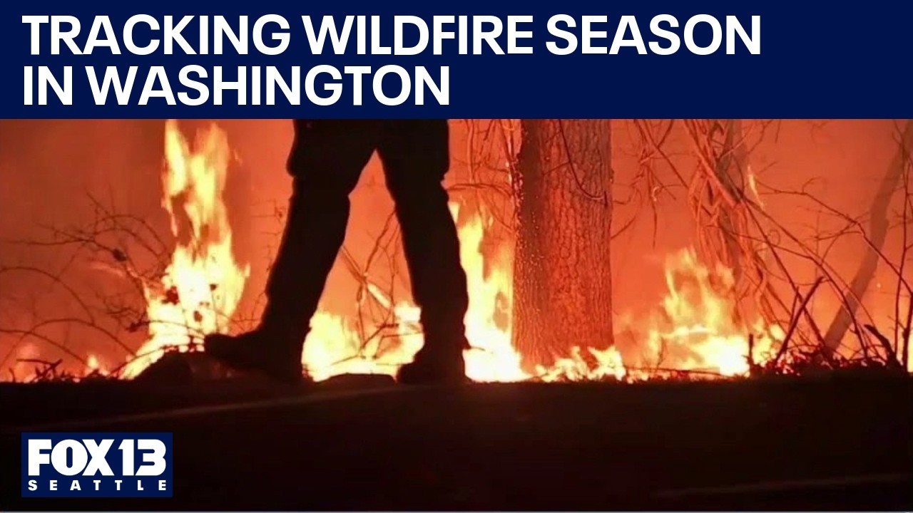 Severe wildfire season expected in Pacific Northwest | FOX 13 Seattle