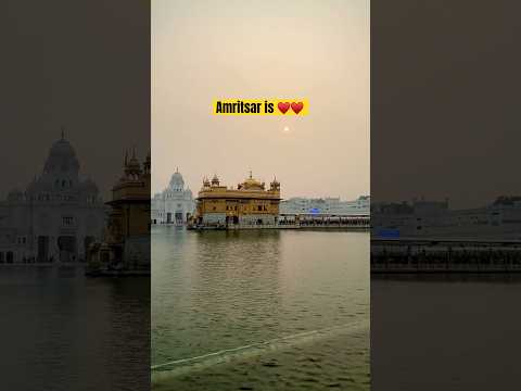 Amritsar is a vibe, what do you think? #amritsar #punjab #harmandirsahib #goldentemple #punjabi