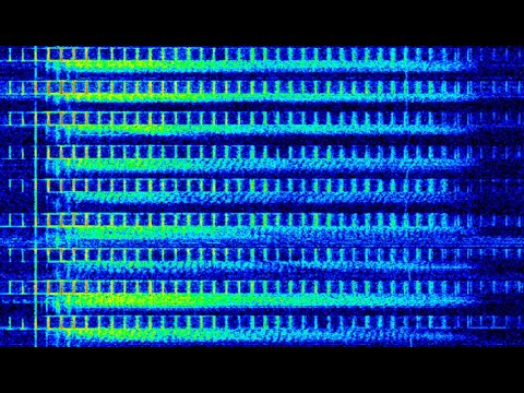 UVB-76/The Buzzer (4625kHz) LIVE