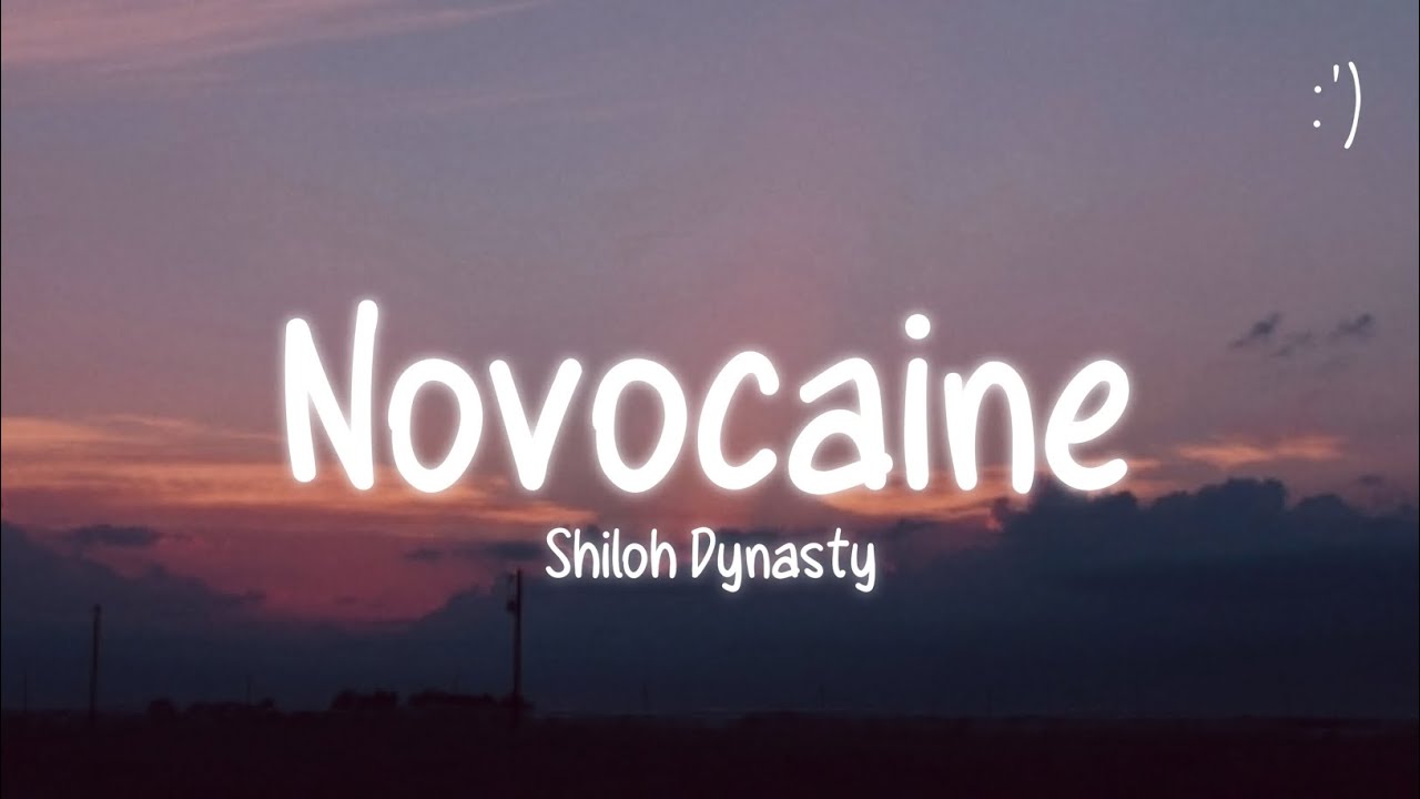 Shiloh Dynasty - Novocaine (Lyrics)