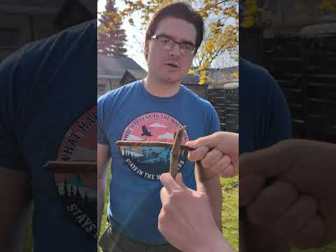 How to start a fire when you only have sticks