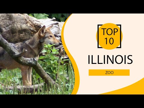 Top 10 Best Zoo to Visit in Illinois | USA - English