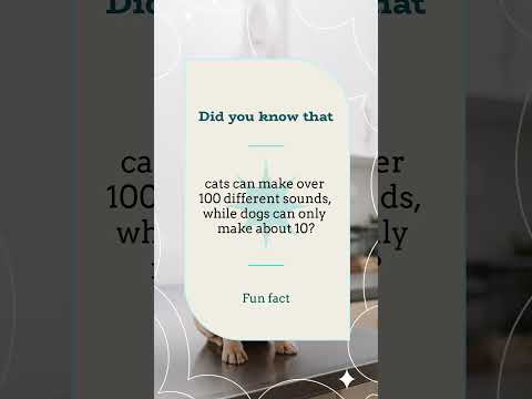 Did you know that about your pet? πΆπ±