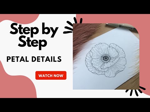 Floral Line Drawings - Step by Step guide to Petal Details