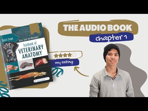 Chapter One: AI-Generated Audio Book for Dyce's Veterinary Anatomy