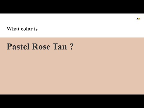 Pastel Rose Tan color #e4c5b0 hex color - Yellow color - Cool color e4c5b0