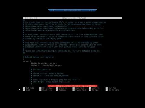 Installing the NGINX web server in Ubuntu