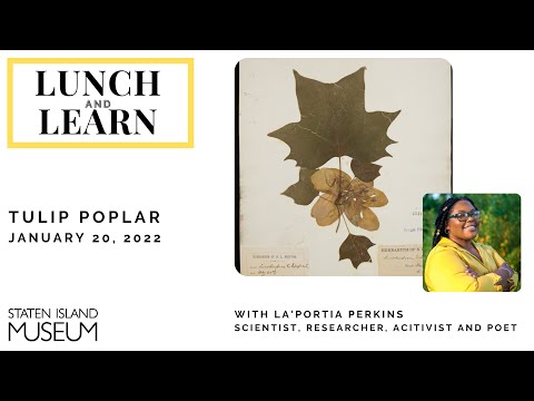 Lunch and Learn: Tulip Poplar with La'Portia Perkins