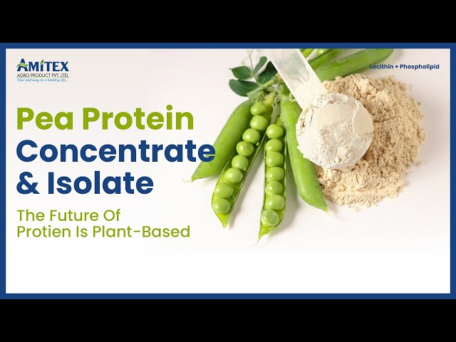 Protein Powder - Pea Protein Concentrate & Isolate Manufacturer from ...