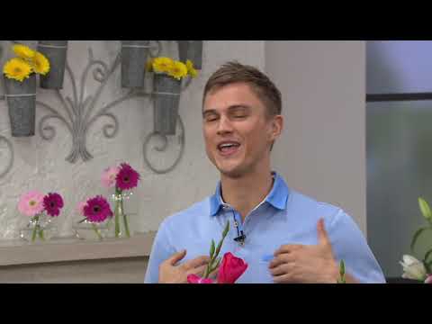 Roberta's 6-Piece Large & Showy Reblooming Daylilies on QVC